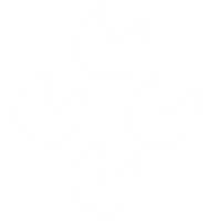 Blog – Rural Progressive Voices